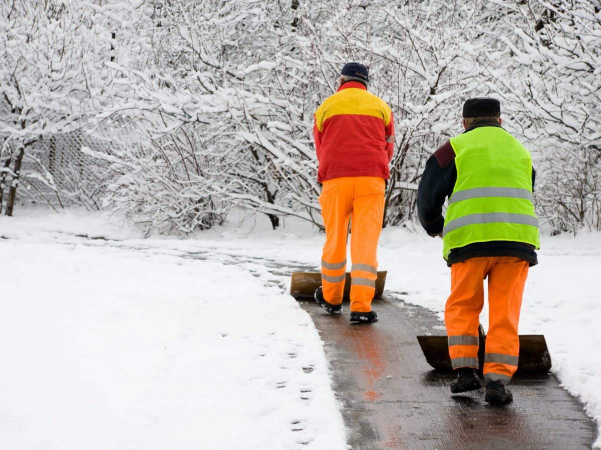 Types of snow shovels store